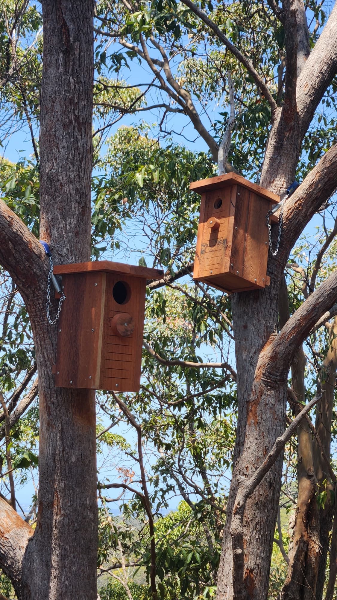 Nest Boxes for wildlife birds - Biodiverse Environmental