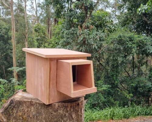 Nest Boxes for wildlife birds - Biodiverse Environmental