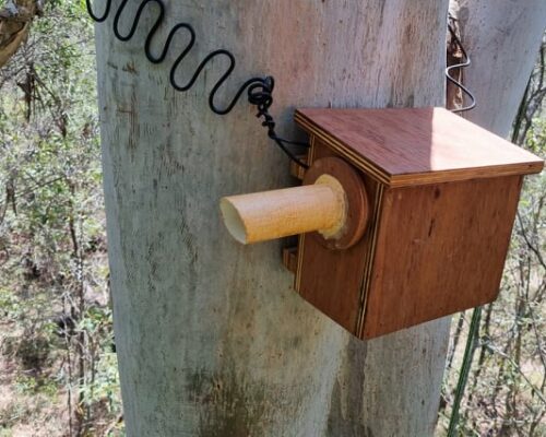 Nest Boxes for wildlife birds - Biodiverse Environmental