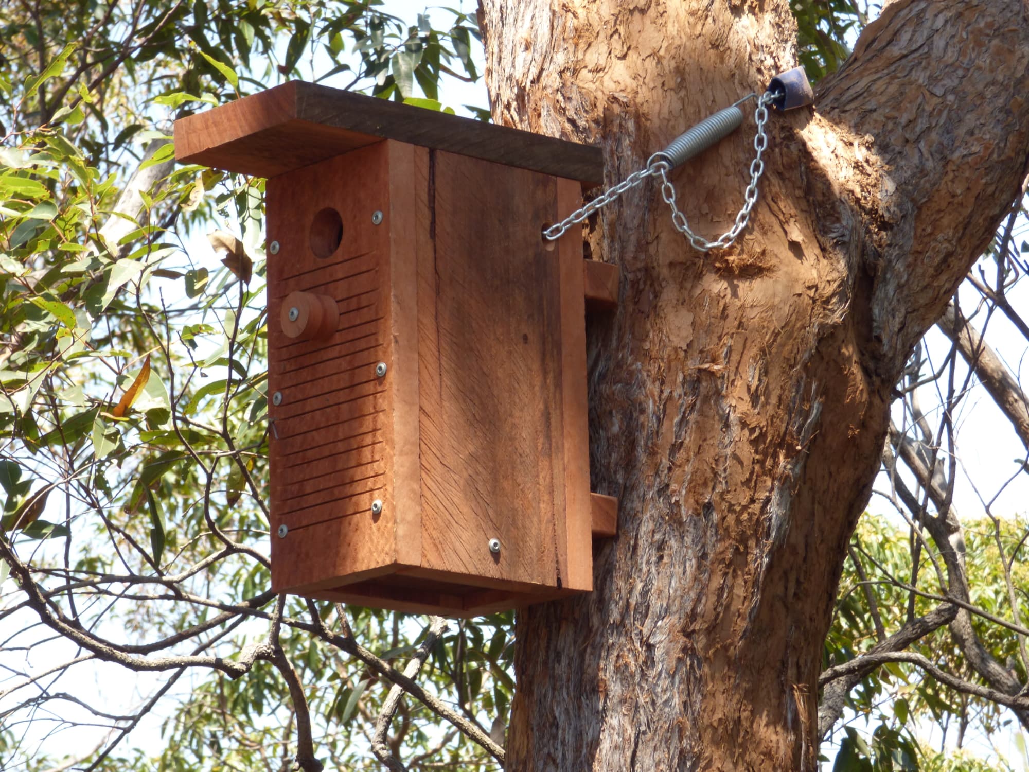 Nest Boxes for wildlife birds - Biodiverse Environmental