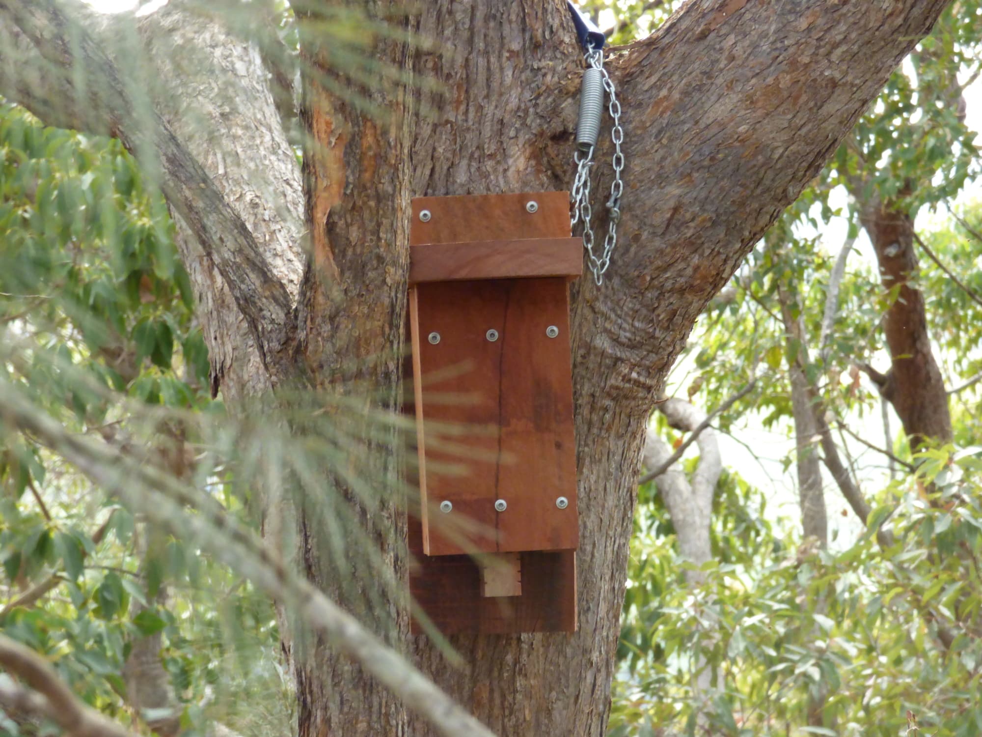 Nest Boxes for wildlife birds - Biodiverse Environmental