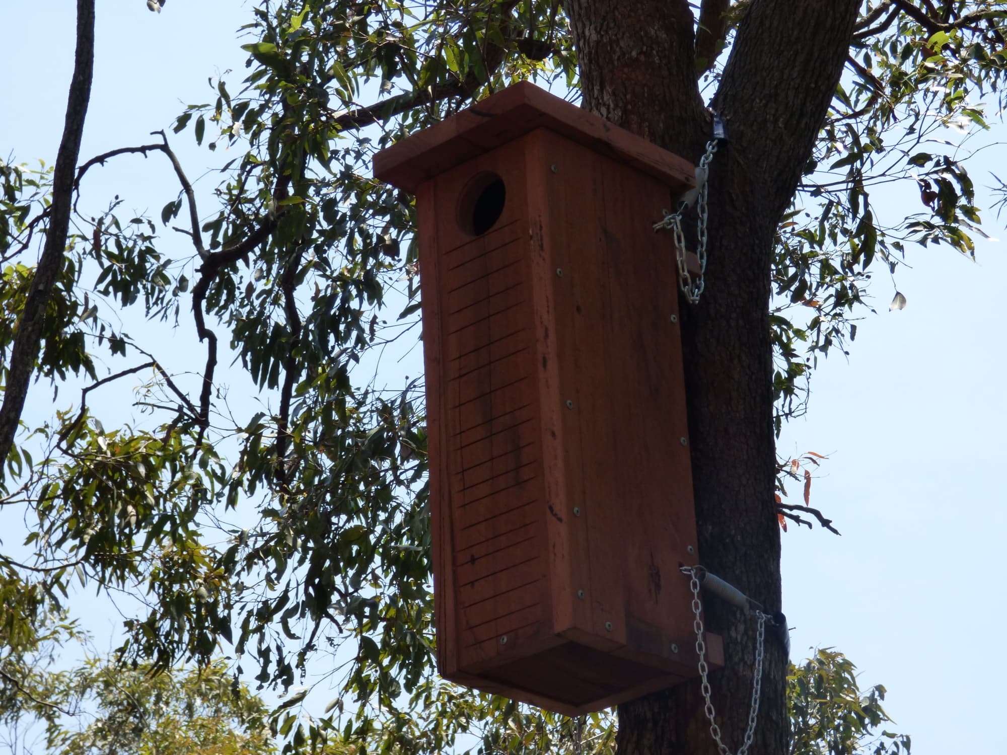 Nest Boxes for wildlife birds - Biodiverse Environmental