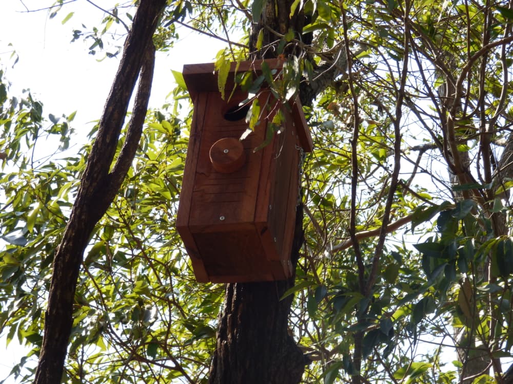 Nest Boxes for wildlife birds - Biodiverse Environmental