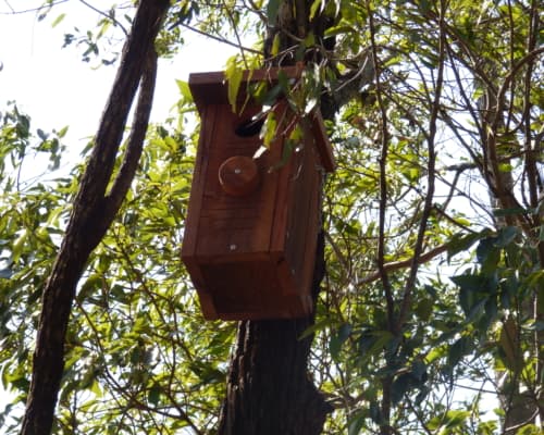 Nest Boxes for wildlife birds - Biodiverse Environmental