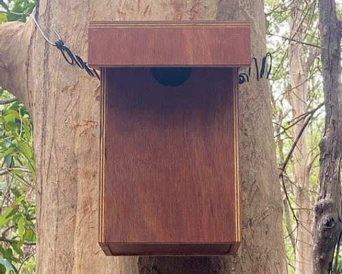 Nest Boxes for wildlife birds - Biodiverse Environmental