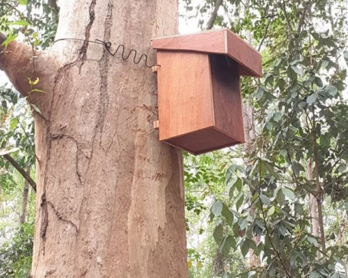 Nest Boxes for wildlife birds - Biodiverse Environmental
