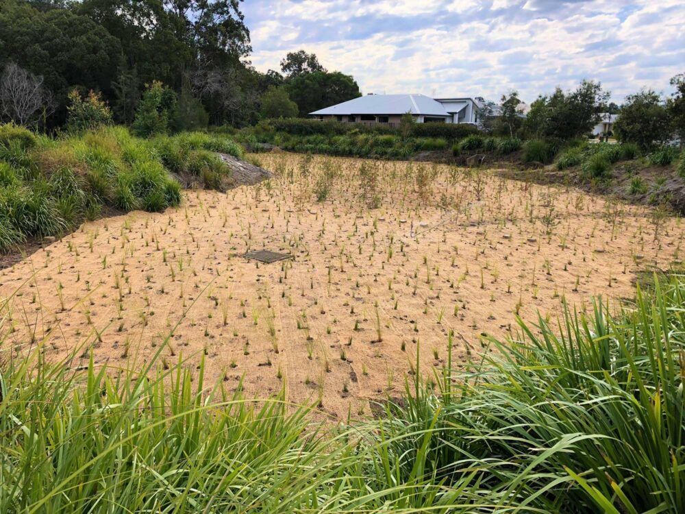 Bush Regeneration - Biodiverse Environmental