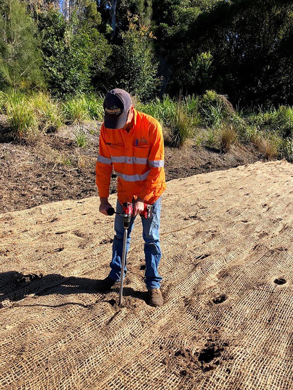 Bush Regeneration - Biodiverse Environmental
