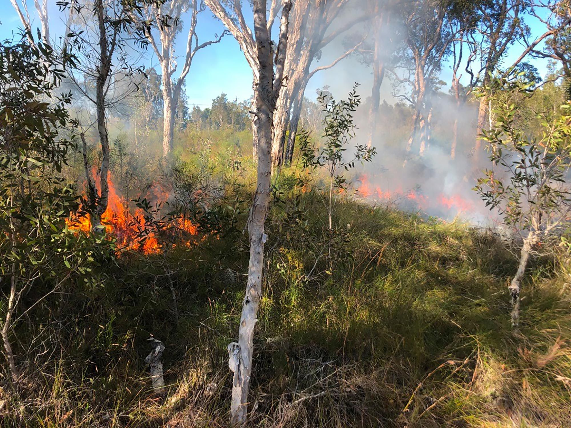 Bushfire Assessment and Planning - Biodiverse Environmental
