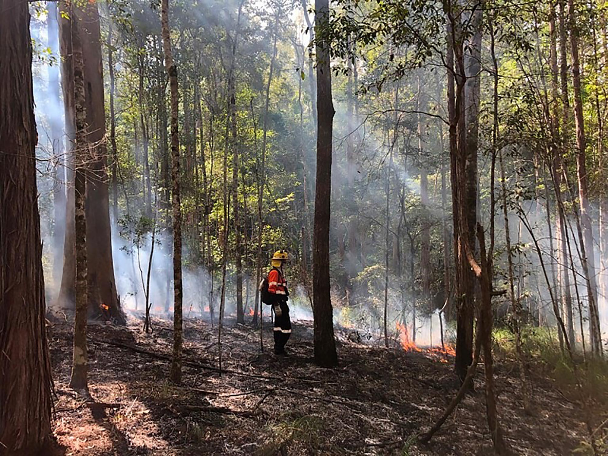 Bushfire Assessment and Planning - Biodiverse Environmental