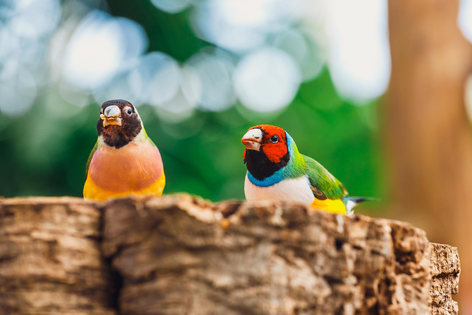 Biodiverse Environmental - Restoration and Management