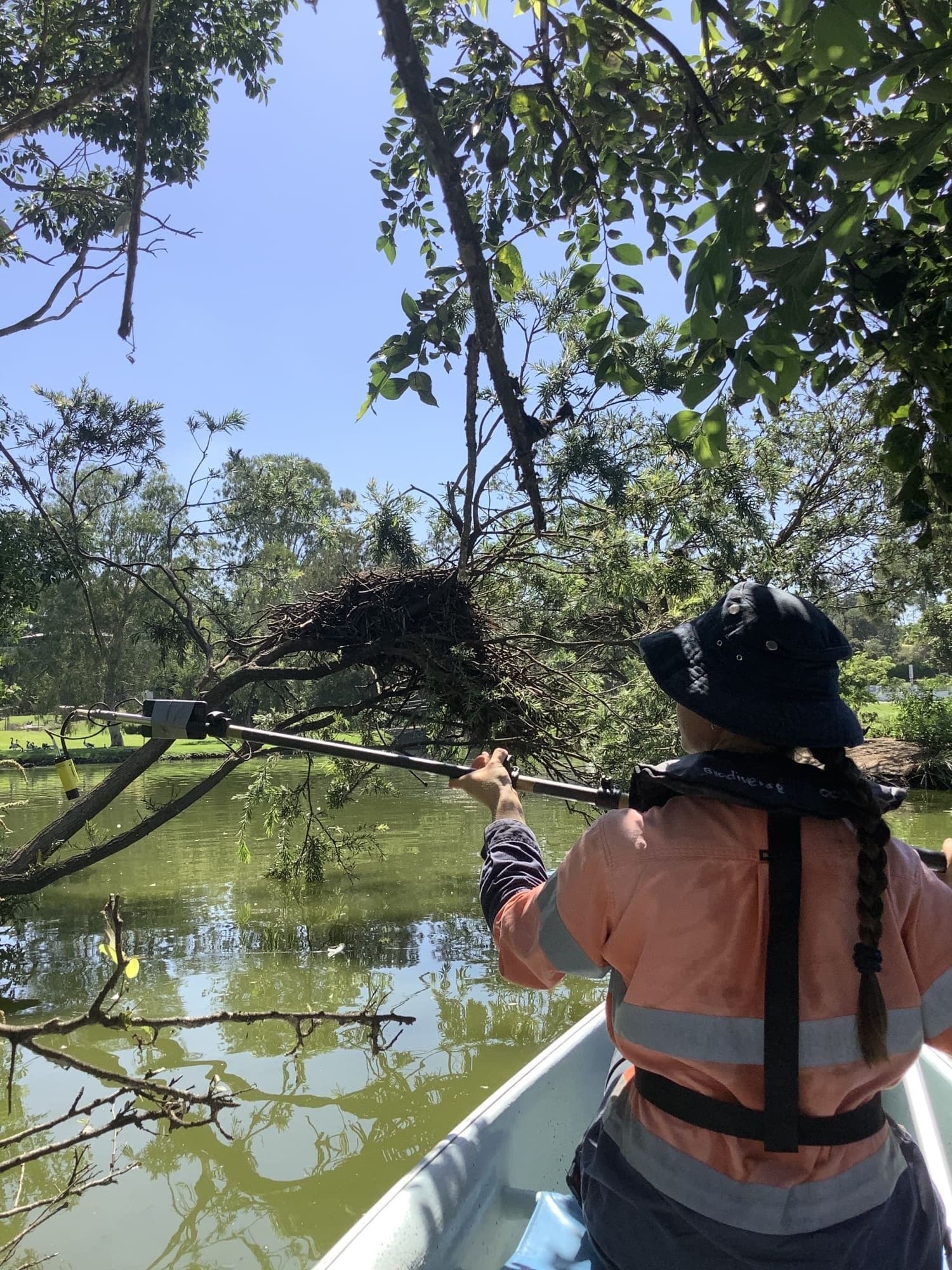 Ibis Management - Biodiverse Environmental