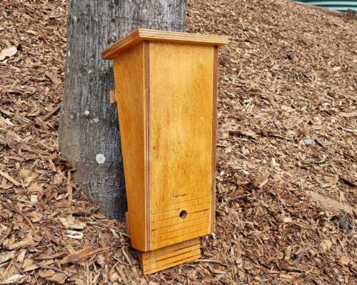 Nest Boxes for wildlife birds - Biodiverse Environmental