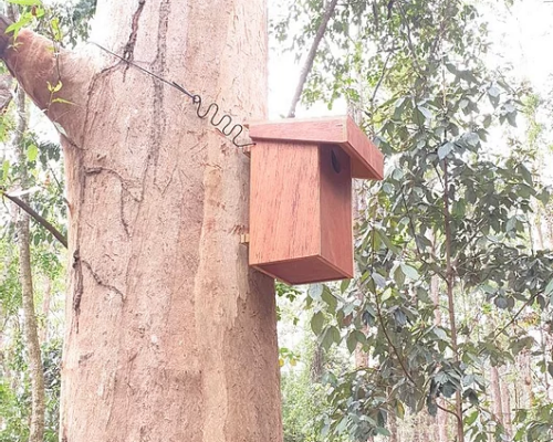 Nest Boxes for wildlife birds - Biodiverse Environmental
