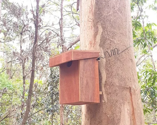 Nest Boxes for wildlife birds - Biodiverse Environmental