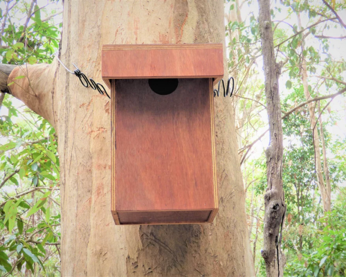 Nest Boxes for wildlife birds - Biodiverse Environmental
