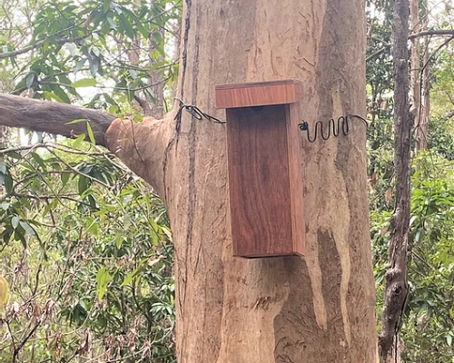 Nest Boxes for wildlife birds - Biodiverse Environmental